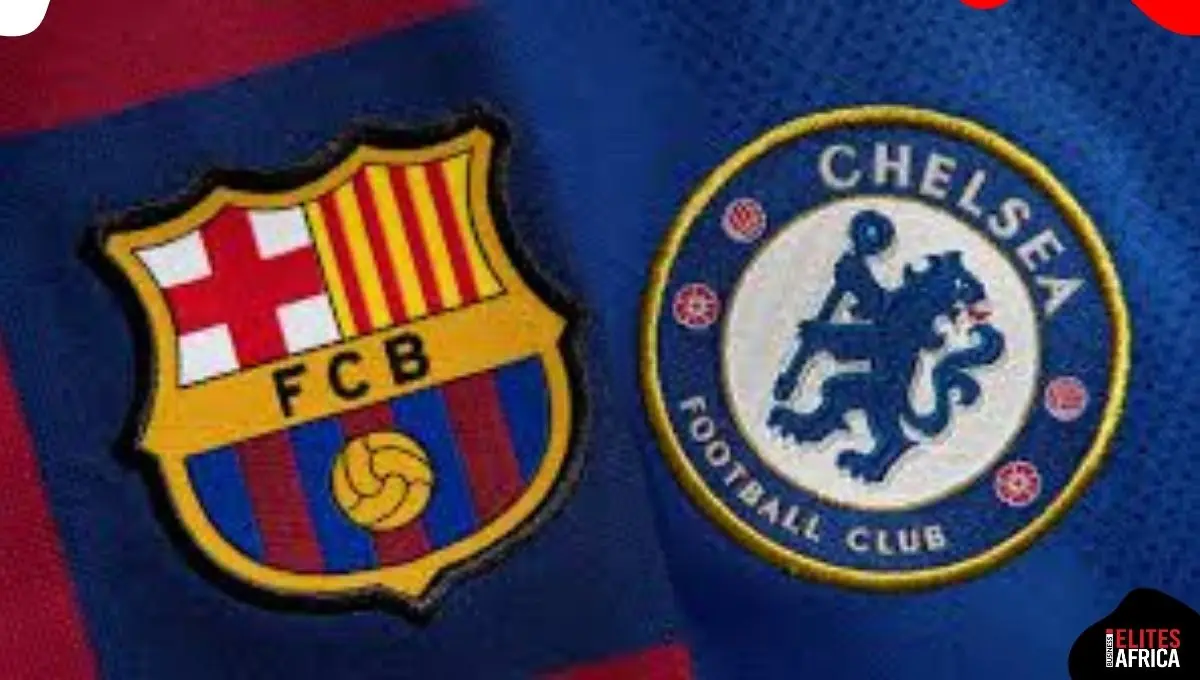 Cat Which Predicted Club World Cup Final, Chooses Winner — Chelsea or ...