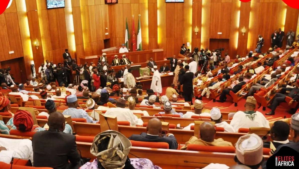 40 Senators Who May Lose Their Seats Ahead of 2027 Elections